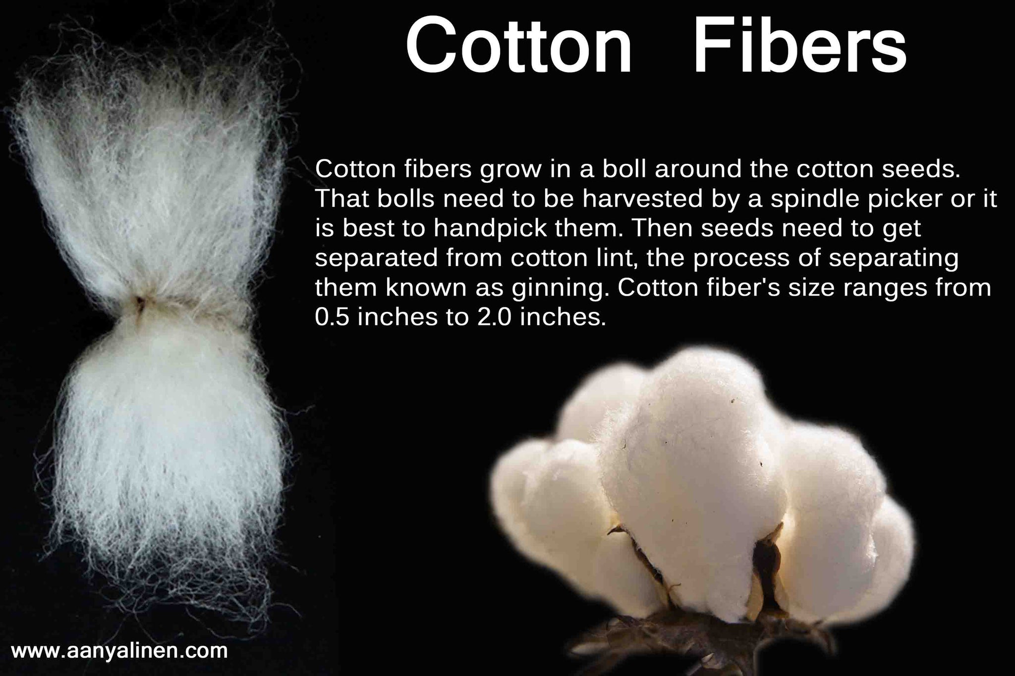 Cotton Fibers - Uses & Properties