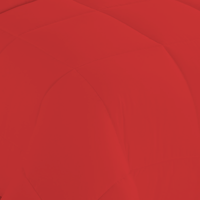 Luxurious Red Comforter in King, Queen Sizes